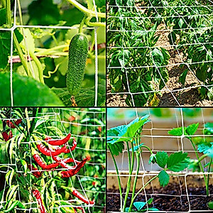 Rural365 Mesh Plant Trellis Net 5x350ft Roll, Growing Support Trellising Bean, Pea, Climbing Plants Scrog Garden Netting