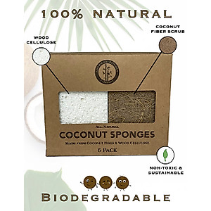 Natural Sponges - 6 Pack of EcoFriendly Biodegradable Coconut Sponges - Multipurpose Kitchen Sponges - by American Kitchen Company ™