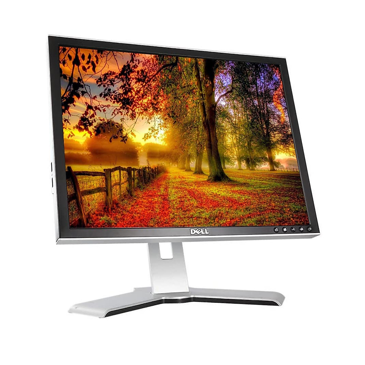 Dell P2210F Computer Desktop Tower LCD 22 Inch Monitor, VGA, DVI Ports, 5ms Response time, 1680 x 1050 Resolution, 170° /160° Viewing Angle (Renewed)