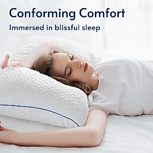 viewstar Shredded Memory Foam Pillows Queen Size Set of 2, Adjustable Firm Pillows for Side Back Stomach Sleepers, Bed Pillows with Washable Removable Cover 19"x 28"