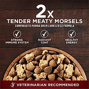 Purina ONE True Instinct High Protein Formula with Real Beef and Salmon Dry Dog Food - 15 lb. Bag