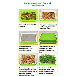 2 Pack of BPA Free Home Microgreen Soilless Hydroponics Seed Sprouter Grow Tray with Cover + Free Spray Bottle and 20 Sheets Growing Paper