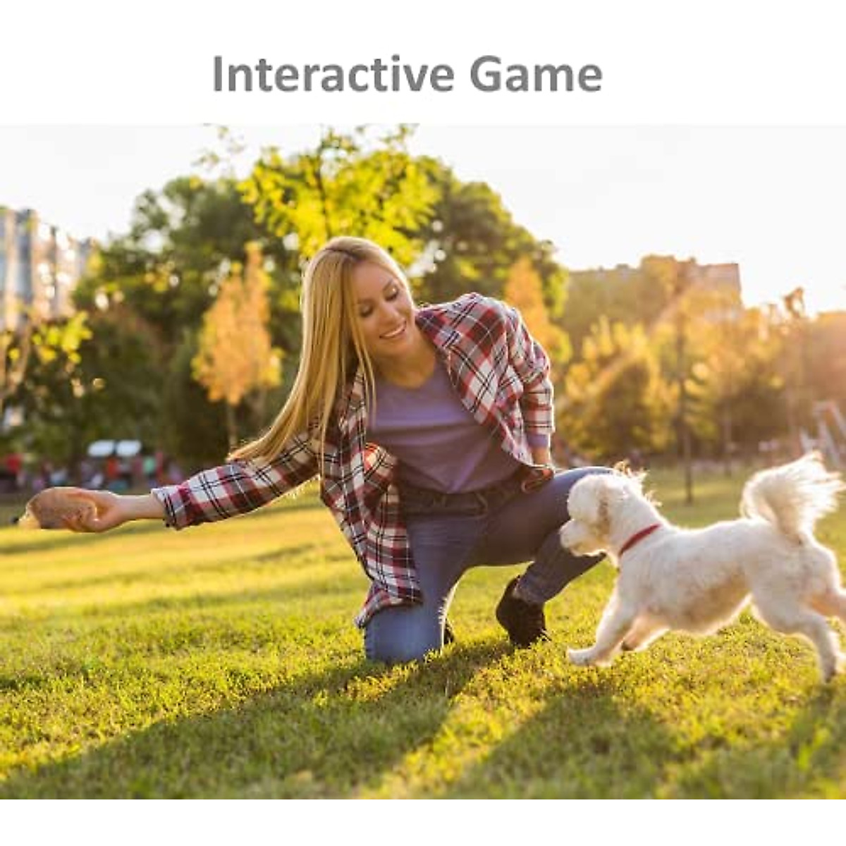 SUNKYPUP Hedgehogz Squeaky Dog Toy, Stuffed Plush Dog Toys for Small Medium Dogs (8 Inch (1 Pack))