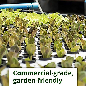 Humboldts Secret Set of A & B Liquid Hydroponics Fertilizer - World's Best Nutrient System – Hydroponic Nutrients for Outdoor, Indoor Plants – Supports Vegetative and Flowering Stages of Plants