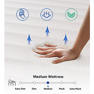 elitespace King Mattress,12 Inch Hybrid King Size Mattress in a Box,Mattresses with Memory Foam and Pocket Spring,Soft and Comfort White King Mattress,Non-Fiberglass,Medium Firm.