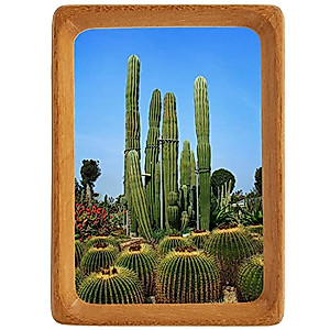 Natural Wood Photo Frames Inspired Tabletop Picture Frame with Mat, Vertical or Horizontal Display (Teak, 4x6 matted to 3x5)