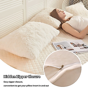 LIFEREVO 2 Pack Cream Faux Fur Pillow Shams,Shaggy Plush Home Decorative Luxury Series Super Soft Furry Pillow Case with Zipper Closure for Home Sofa Couch,Standard (Light Beige,20"x26")