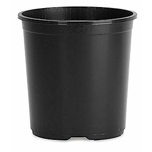 Indoor Live Herb Garden & Plant Seed Starter Kit - DIY Transplanting Kit for Beginners & Kids | Includes Seeds, Soil, Pots, Markers, Instructions, & Grinder | Parsley, Basil, Cilantro, & Chive Seeds