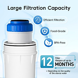 iSpring FG15 10"x2.5" Water Filter Replacement for Reverse Osmosis Water Filter System, GAC Granular Activated Carbon Filter Water Filter Cartridge Reduce PFAS