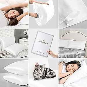 Satin Pillowcase for Hair and Skin, Silky Soft Satin Pillowcase for Women Hair Set of 4, Standard+Queen Silk Pillow Cases, Satin Pillowcase with Envelope Closure (White, 20x26 Inches+20x30 Inches)