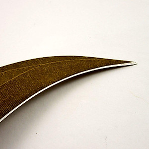 MTECH USA – Fixed Blade Knife – Gold Partially Serrated Stainless Steel Karambit Blade w/Black Cord Wrapped Handle, Full Tang, Black Nylon Sheath - Hunting, Camping, Survival, EDC – MT-20-76GD