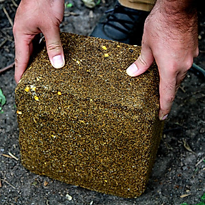 Ani-Logics Outdoors Crush Acorn Block