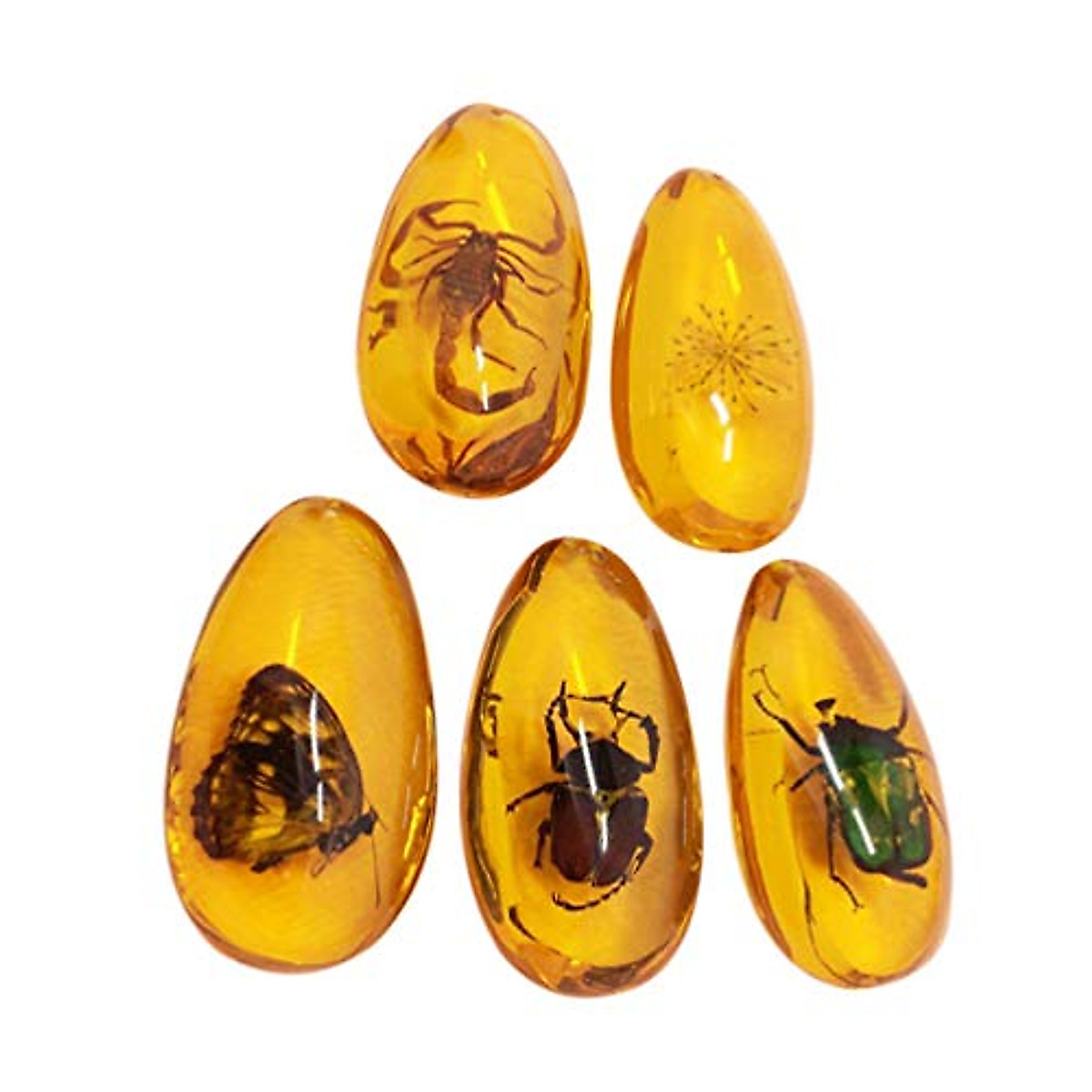 Garneck Crystal Amber Fossil with Insects, Inside Specimens Samples Stones Oval Pendant Collection Home Decorations Education Gift (Random Pattern)