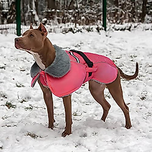 Lelepet Dog Winter Jacket, Reflective Dog Winter Coat with Adjustable Buckle & D-Ring Windproof Warm Dog Padded Coat for Cold Weather Fleece Turtleneck Dog Vest Pet Apparel for Small Medium Large Dogs