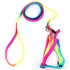 yueton Dog Pet Puppy Cat Kitty Adjustable Nylon Leash Rainbow Dog Chest Straps Chain Seven Color Traction Thoracic Dorsal Suits Dog Rope Dog's Leash Chain