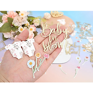 BABY Shower Script Table Confetti - Baby In Bloom Confetti Shower Decor, Floral Bodysuit Scatter Confetti, Flower Baby Gender Reveal Party Decorations, Glitter Confetti Photo Props (BABY GIRL PINK)