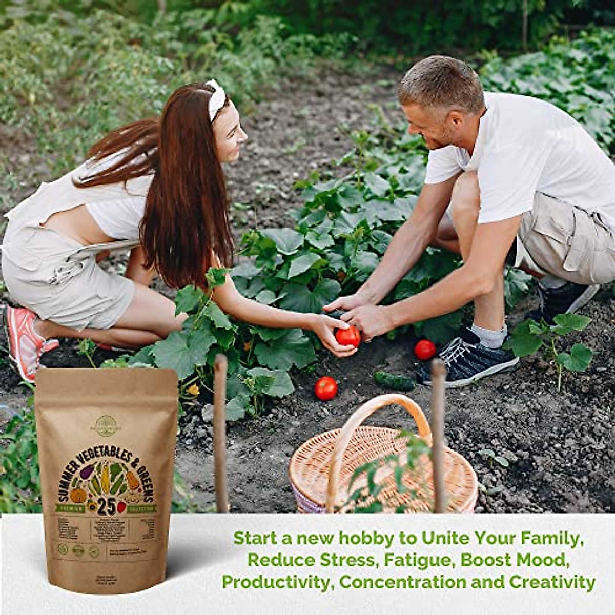 25 Summer Vegetable Garden Seeds Variety Pack for Planting Outdoors and Indoor Home Gardening 2500+ Non-GMO Heirloom Veggie & Salad Green Seeds: Collards Tomato Pepper Okra Onion Bean Cucumber & More