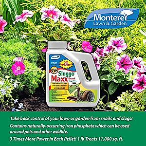 Monterey LG6544 2# Sluggo Max3 Jug Iron Phosphate