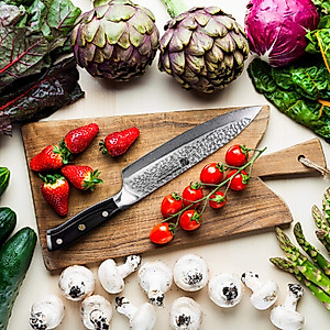 Premium 8 Inch Damascus Chef Knife, VG10 Super Steel 67 Layer High Carbon Stainless Steel Kitchen Knife with Full Tang Handle