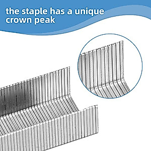 30000 Pieces B8 Crown Staples Standard Staples Heavy Duty Staples 1/4 Inch Leg Length for B8 Staplers Home School Office