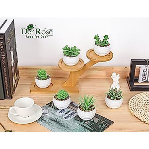 Der Rose Set of 6 Succulents Plants Artificial in Pots Small Fake Plants for Bedroom Aesthetic Living Room Office Shelf Bathroom Decor