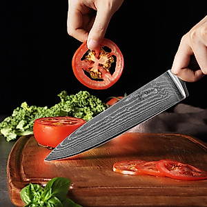 Wakoli Chef Knife, 8-inch Blade Damascus Knife made from 67 Layers of Damascus Steel with VG10 Core, Ergonomic Kitchen Knives with Pakkawood Handle for All Tasks in Gift Box (EDIB)