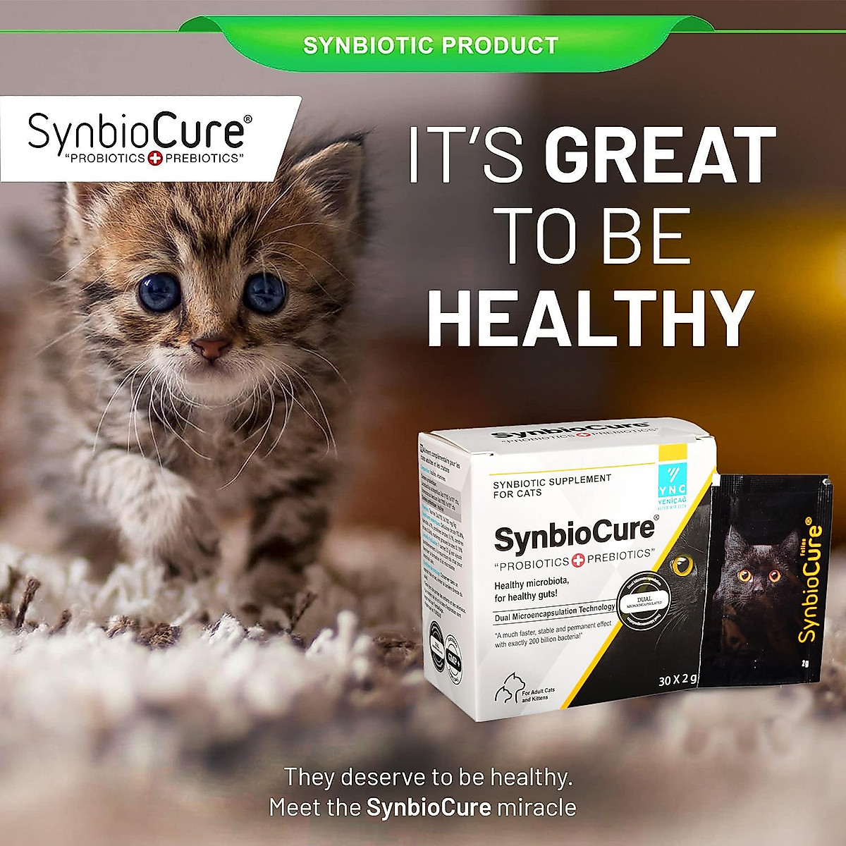 SynbioCure I Probiotics & Prebiotics for Cats I Powder Cat Supplement I Digestive Health Support I 200 Billion Bacteria Per Sachet I 30 Sachets*2 g