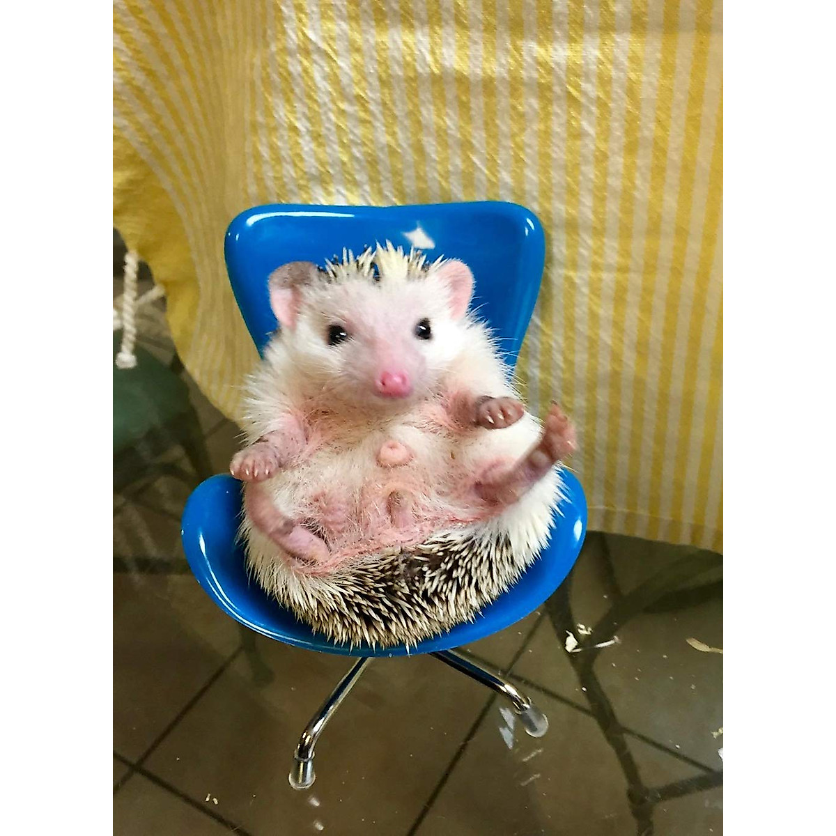 Hedgehog Chair Mini Plastic Swivel Seat Small Animal Toys Habitat Decor Cage Accessories Hedgehog Supplies Photo Props Chair Toy for Hedgehog,Bird,Parrot,Mouse,Chinchilla, Rat,Gerbil,Dwarf Hamster