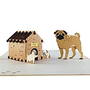 iGifts And Cards Happy Pug Family 3D Pop Up Greeting Card – Birthday, Friendship, Thank You, Congratulations, Celebration, Super Cute, Dog, Puppies, Card For Dog Lovers