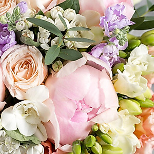 Empire Candle Peony Blossom Scented Wax Melt, 2.5 oz, Burn Time 4 Hours, Home Fragrance, Room Accessories