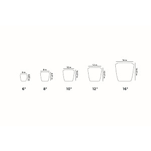 The HC Companies 8 Inch Aria Square Self Watering Planter - Plastic Plant Pot for Indoor Outdoor Plants Flowers Herbs, Matte Black