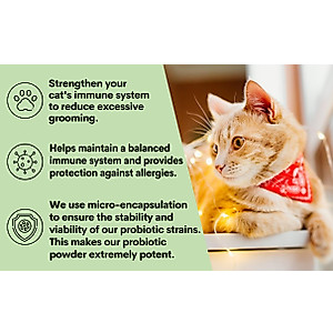 Probiotic for Cats & Kittens - Cat Probiotic Powder for Hairball Prevention, Digestive Support, Immune Health, Prebiotics, and Diarrhea Relief - Suitable for Indoor Cats & Kittens - 60 Scoops