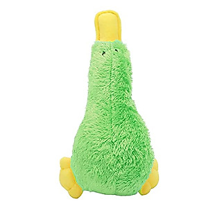 GLOGLOW Plush Dog Chew Toys, Cute Bird Easy Clean Squeaky Plush Dog Toys Teeth Grinding Interactive Boredom Relief Soft Bite Resistance Indoor (Green)
