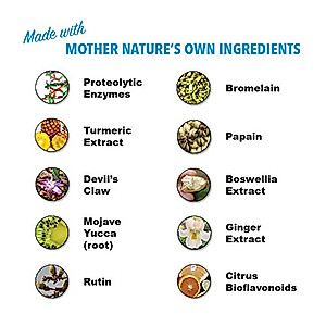 HEAL-N-SOOTHE Natural Joint Support Supplement - Proteolytic Enzymes for Maximum Joint Support and Back Support- 90 count for men and women