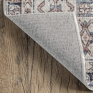 nuLOOM Drina Machine Washable Distressed Area Rug