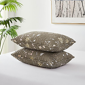 Southshore Fine Living, Inc. Oversized Queen Size Quilt Bedding Set, All Season Lightweight Bedspread, Boho Coverlet Full Size, Floral Bedding 3-Piece Set with Two Matching Shams, Full/Queen, Brown