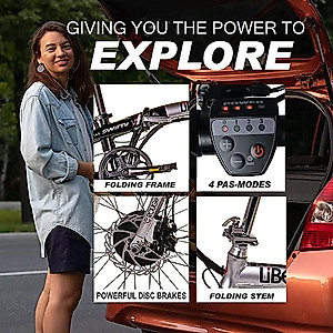 Swifty Liberte Electric Bike, Black, Medium