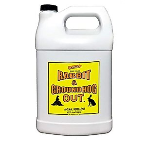 Rabbit & Groundhog Repellent: Rabbit Out 1 Gallon Ready-to-Use- Refill * NO Sprayer Included *