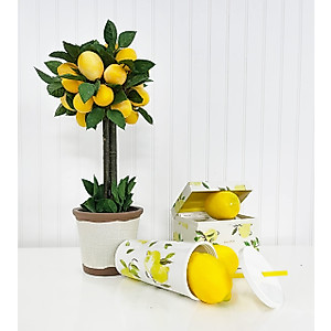 Kate Spade New York Insulated Tumbler with Reusable Straw, 20 Ounce Travel Cup with Lid, Lemons