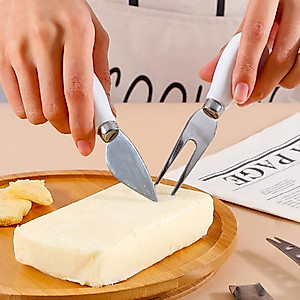 HEMOTON 4Pcs Cheese Cheese Fork Cheese Shaver Butter Spreader Cake kit Butter Cutter Cheese Cutter Cheese Cutting Tool Home Tools Bread Cutter Cutting Machine Travel Stainless Steel