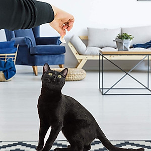 Cat-Man-Doo Extra Large Dried Bonito Flakes Treats for Dogs & Cats - All Natural High Protein Flakes - 4oz Bag (2 Pack)