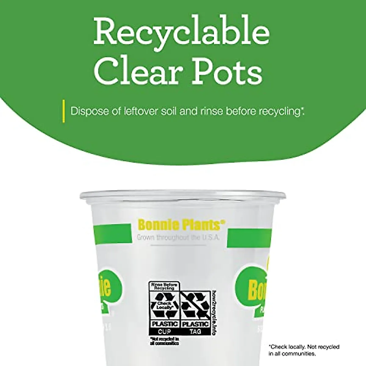 Bonnie Plants Peppermint Live Edible Aromatic Herb Plant - 4 Pack, Pet Friendly, Low Light, Part Shade