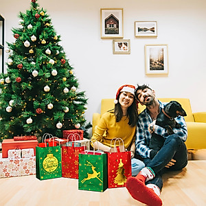 BLEWINDZ 16Pcs Christmas Gift Bags with Tissue Papers for Gifts, 8.6" Small Christmas Goodie Bags Sparkle Treat Bags for Kids Xmas Holiday (Red Green)