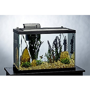 Tetra Aquarium 20 Gallon Fish Tank Kit, Includes LED Lighting and Decor