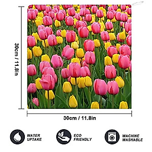 Curdesi Hand Towels for Bathroom, Tulips Hand Bath Towel Soft Absorbent Microfiber Kitchen Dish Towels 12 x 12inches