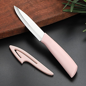 Lomgwumy Paring Knife, 4 Sharp and Durable Fruit Knife, with Scabbard, Exquisite and Beautiful, Fruit Knives Small is Suitable for Most Vegetables, Fruits and Meat (Pink and Blue)