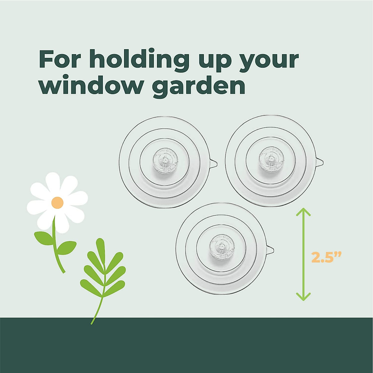 Window Garden Replacement Suction Cups - 12 Clear, Large Super Strong Window Suckers - Heavy Duty Suction Cups for Glass Surfaces - Veg Ledge Shelf, Suncatchers, Decorations, Bird Feeder, Windshield