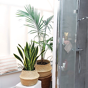 Compactor Storage Basket, Small, Brown