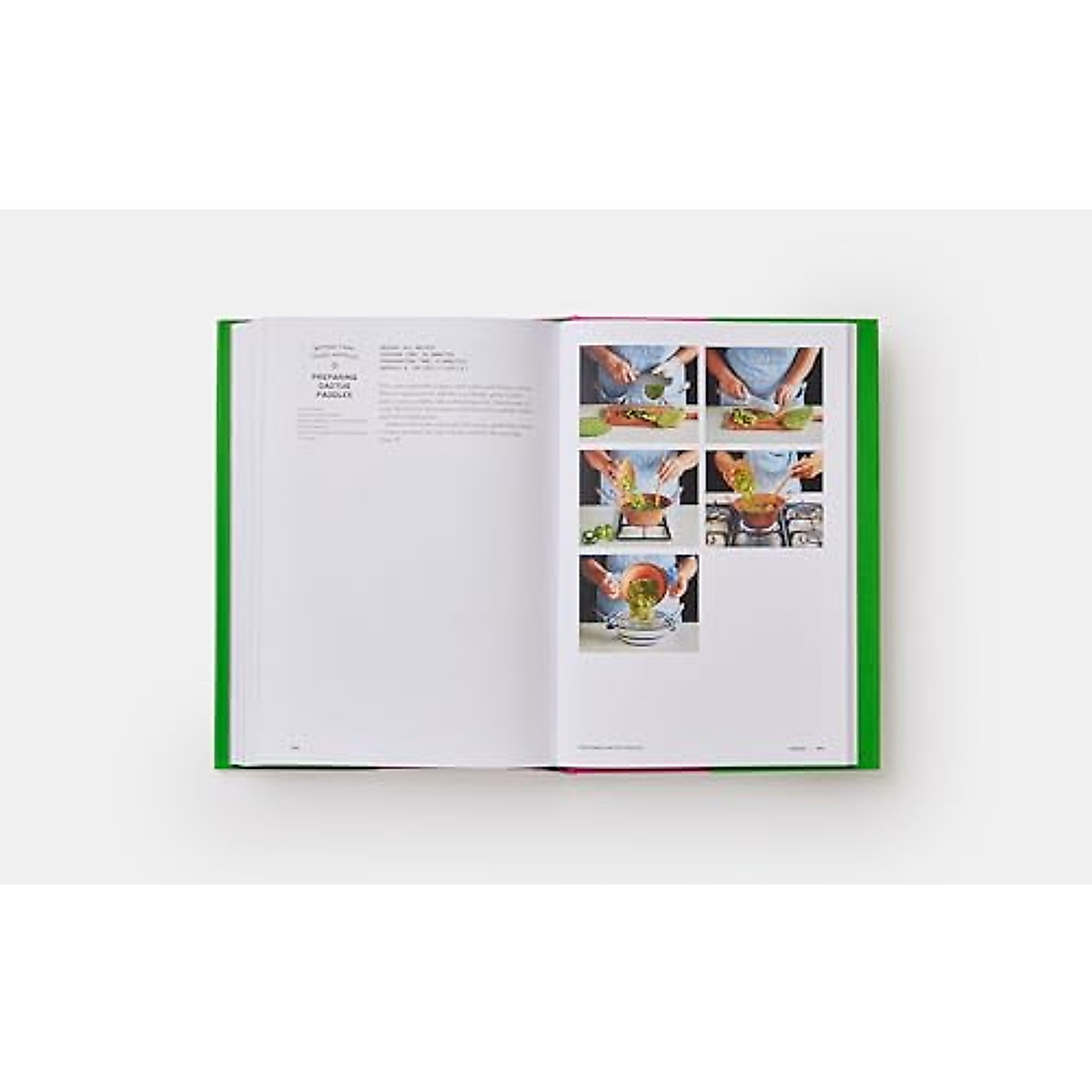 The Mexican Vegetarian Cookbook: 400 authentic everyday recipes for the home cook