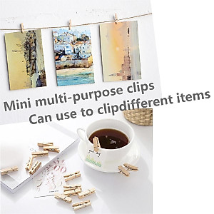 50 Pcs 1In Mini Wooden Craft Clothes Pins, Clothes Pins for Photo,Small Clothespins,Small Clothes Pin,Mini Photo Clips Small Clothes Pins for Photos, Crafts, Arts, Cocktails,Artwork Display